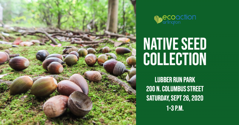 Native Seed Collection_Website Slider_FB