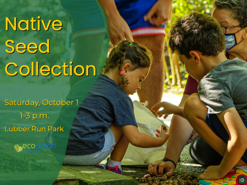 Native Seed Collection Website Slider – 2022-1