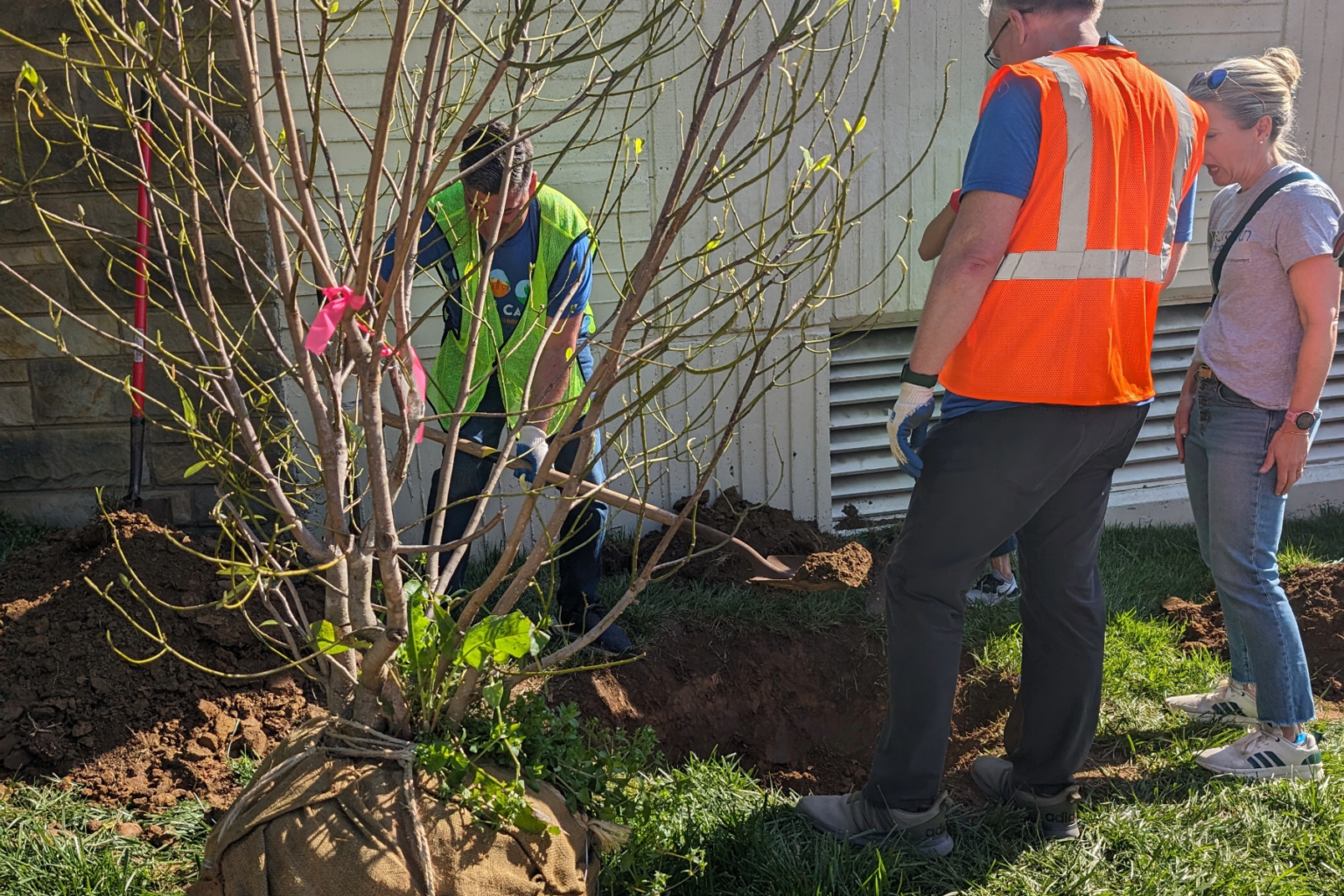 Tree Planting Program