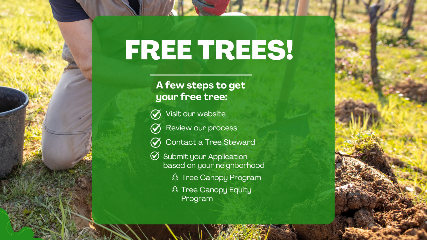 Free Tree Program Overview